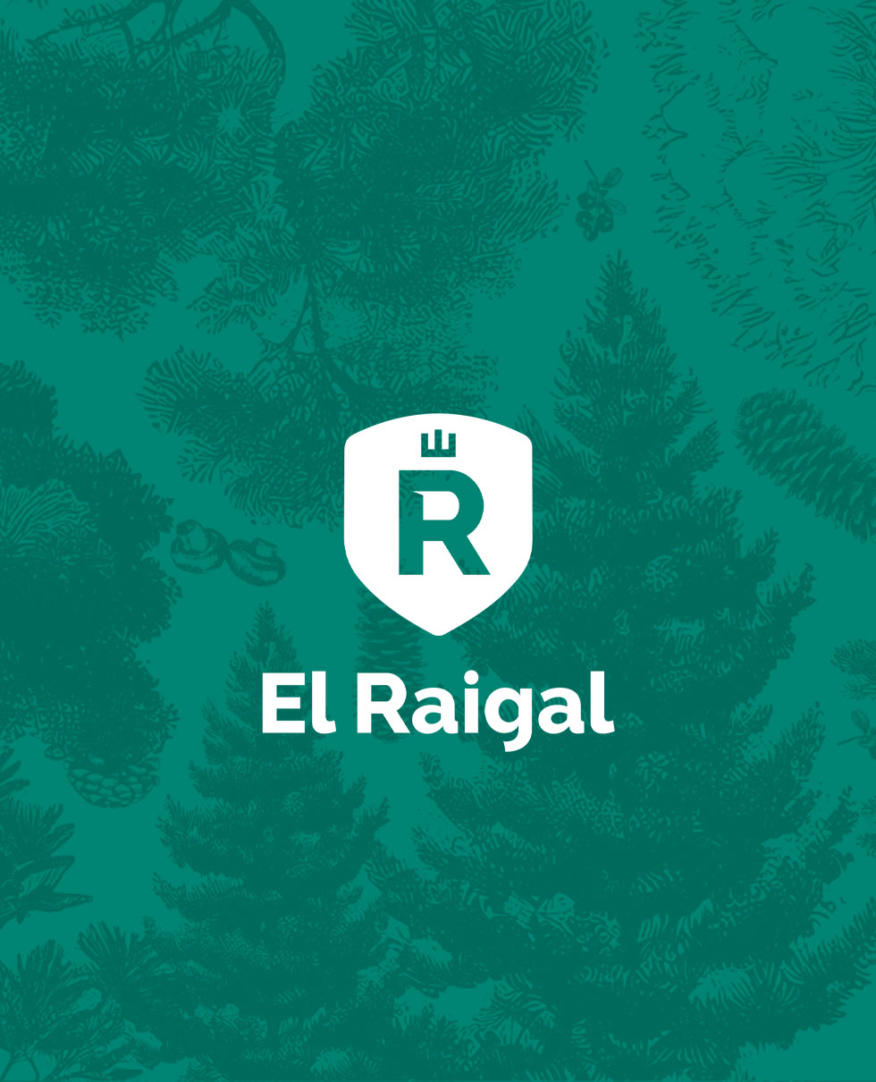 El Raigal, Tu nuevo centro - Hyperlinks